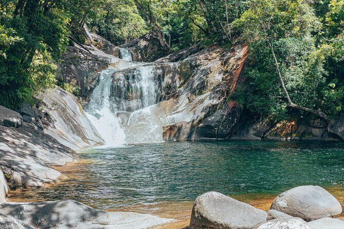 Private Waterfall and Rainforest Day Tour - Price and Value