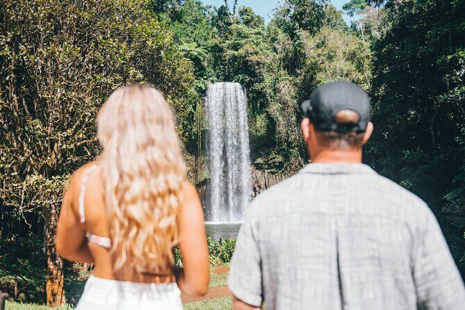 Private Waterfall and Rainforest Day Tour - Who Will Love This Tour?