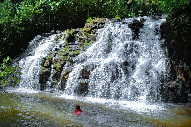 Private Waterfalls Hike and Swim in Lihue - An in-depth look at the Waterfalls Hike and Swim Experience