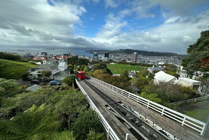 Private Wellington City Highlight Tour - Who Should Consider This Tour?