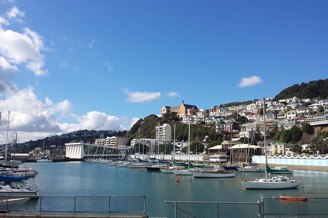 Private Wellington Full Day Sightseeing Tour - Final Thoughts: Who Will Love This Tour?
