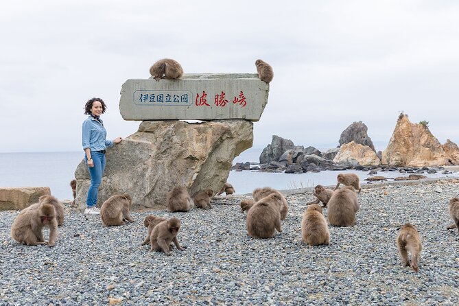 Private West IZU Uncovered Tour Cave Cruise and Monkey Encounter - Reviews