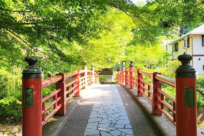 Private West IZU Uncovered Tour Cave Cruise and Monkey Encounter - Provider Information