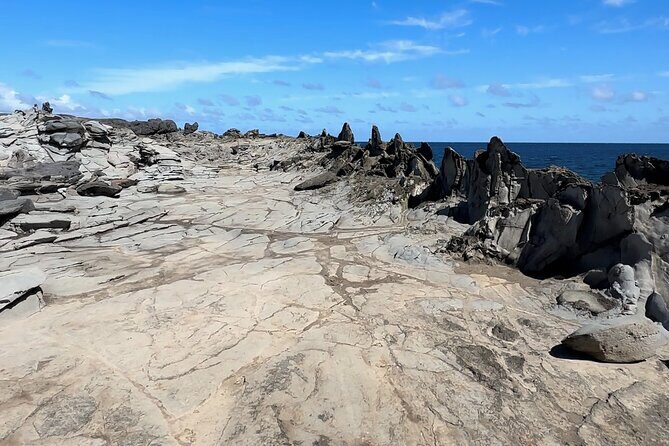 Private West Maui Coastline Open-Air Jeep Tour - FAQs