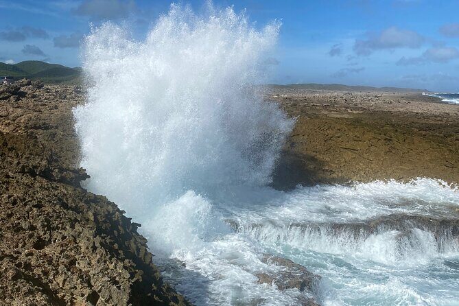 Private Westcoast Beachhop Tour. Turtle beach, grote knip & More - Frequently Asked Questions