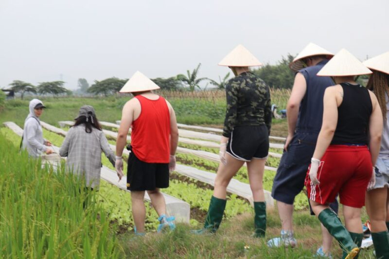 Private Wet Rice Growing Day Tour from Hanoi with Lunch - Detailed Breakdown of the Day