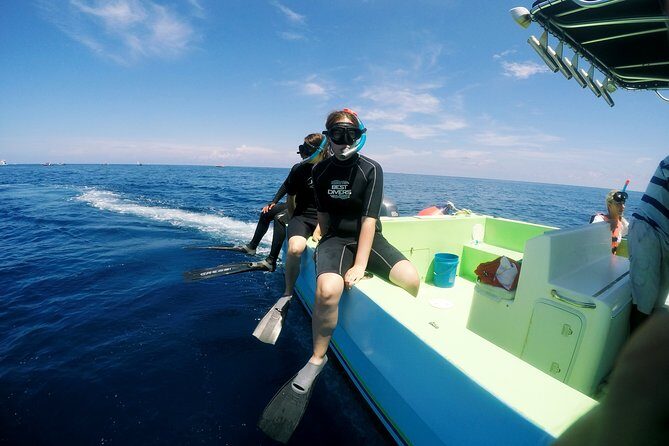 Private Whale Shark All Inclusive Experience - Detailed Itinerary Breakdown