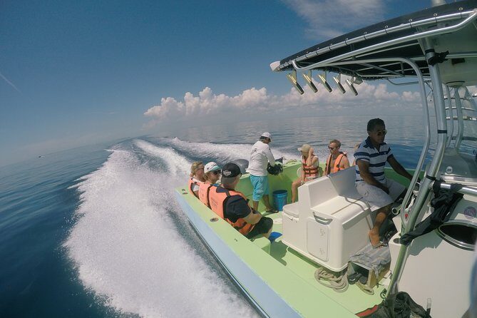Private Whale Shark All Inclusive Experience - What Do Past Travelers Say?