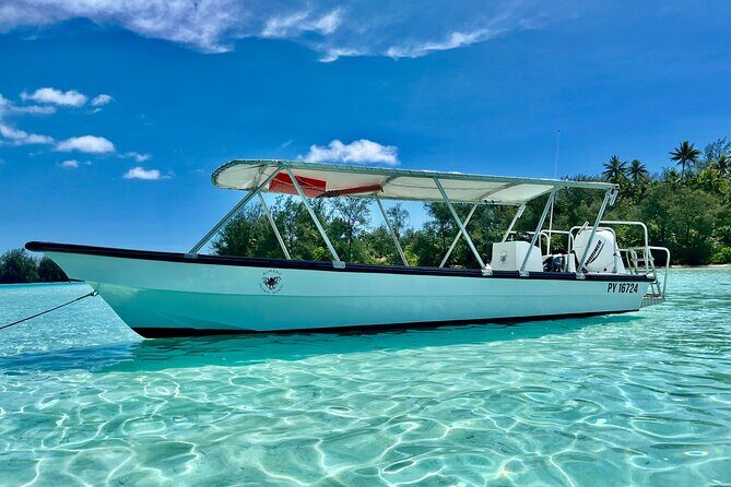 Private Whale Watching Adventure in Mo'orea - Practical considerations