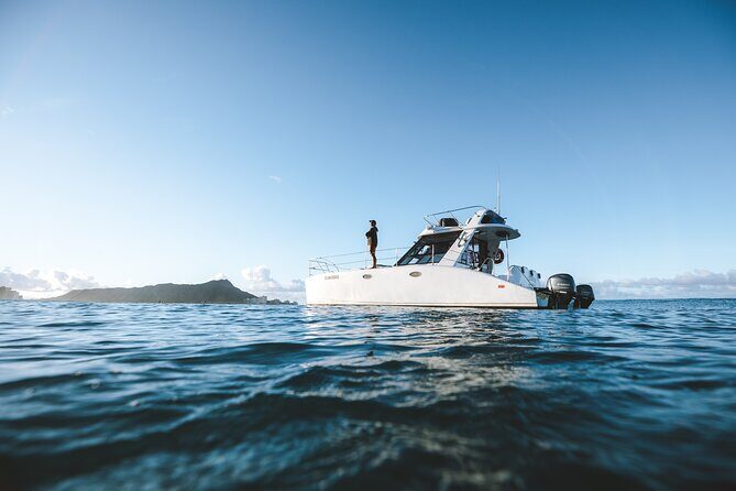 Private Whale Watching and Coastal Swimming Tour Honolulu - A Closer Look at the Experience