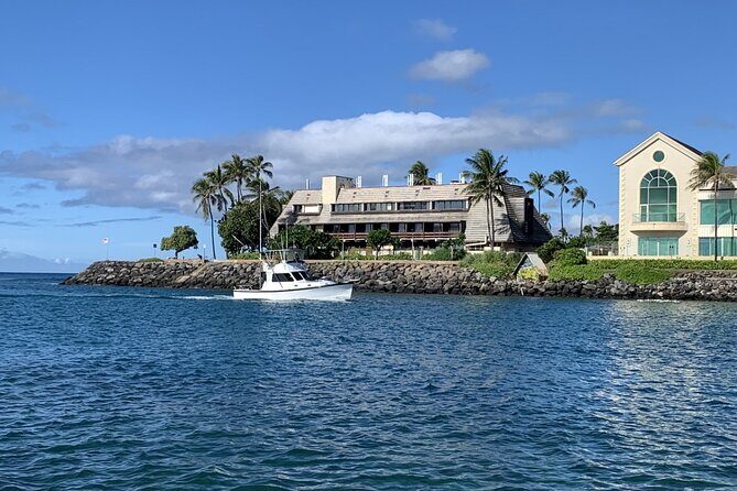 Private Whale Watching and Dolphin Excursion - Final Word