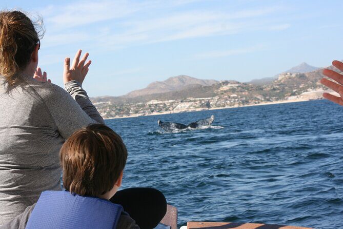 Private Whale Watching in San José del Cabo - Final Thoughts