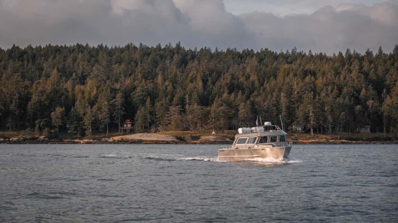 Private Whale Watching Nanaimo - Semi-Covered Boat - The Value of This Experience