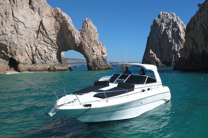 Private Whale Watching on Luxury Yacht in Cabo San Lucas - The Itinerary: What You Can Expect