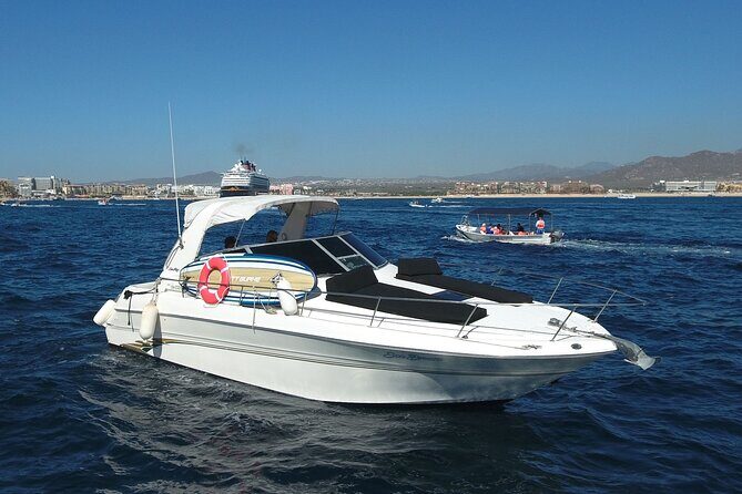 Private Whale Watching on Luxury Yacht in Cabo San Lucas - Who Will Love This Tour?