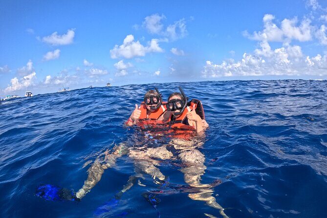 Private Whale Watching Tours in Isla Mujeres - Introduction