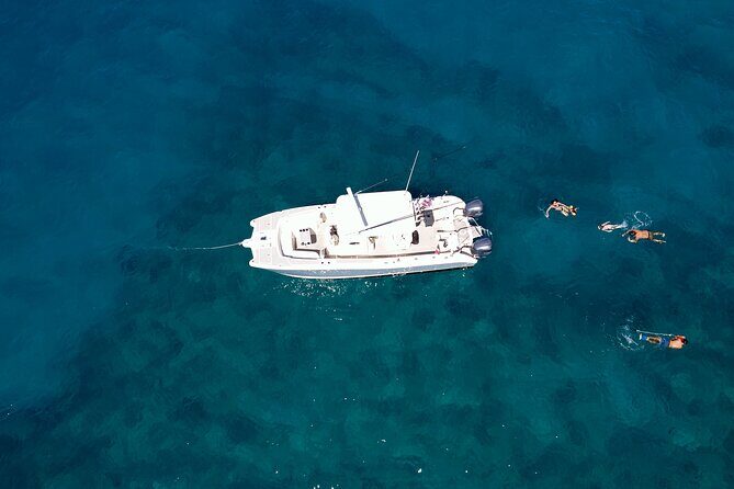 Private Whale Watching Trip from Oahu - A Close-Up Look at the Whale Watching Experience from Oahu