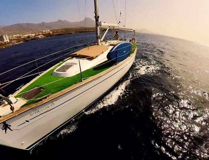 Private Whales & Dolphins Excursion: for you exclusively! - Who Should Consider This Tour?