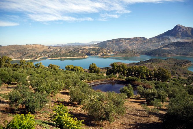 Private White Villages & Ronda Day Tour From Seville - Itinerary Highlights