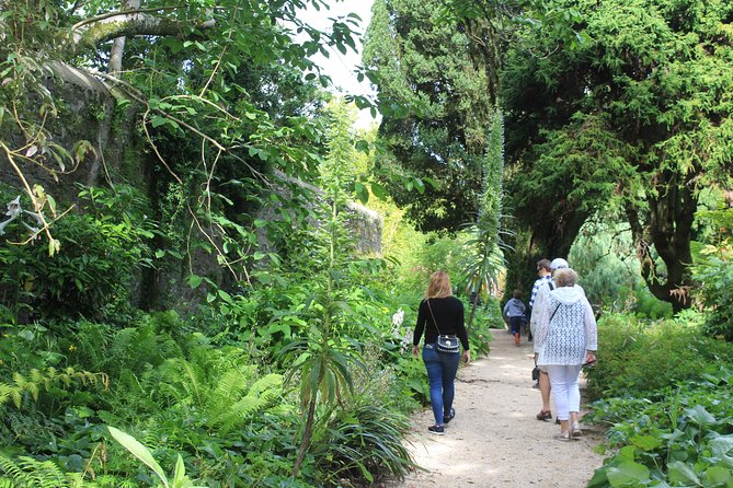 Private Wicklow Mountains Day Tour - Flexibility & Extra Options