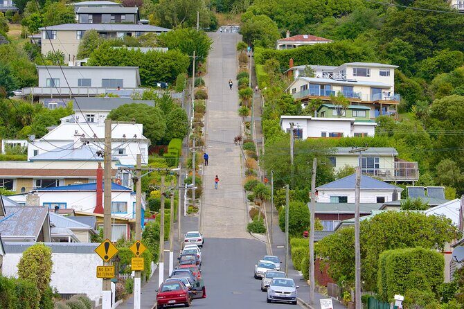 Private Wildlife and Penguin Tour in Dunedin with Ticket - Why This Tour Is a Great Choice