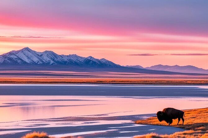 Private Wildlife and Scenic tour on Antelope Island - What Makes This Tour Special?