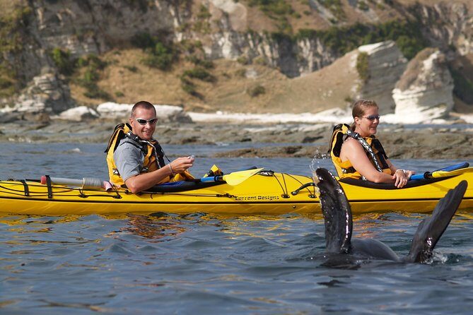Private Wildlife Kayaking Tour - Kaikoura - What To Expect on the Tour