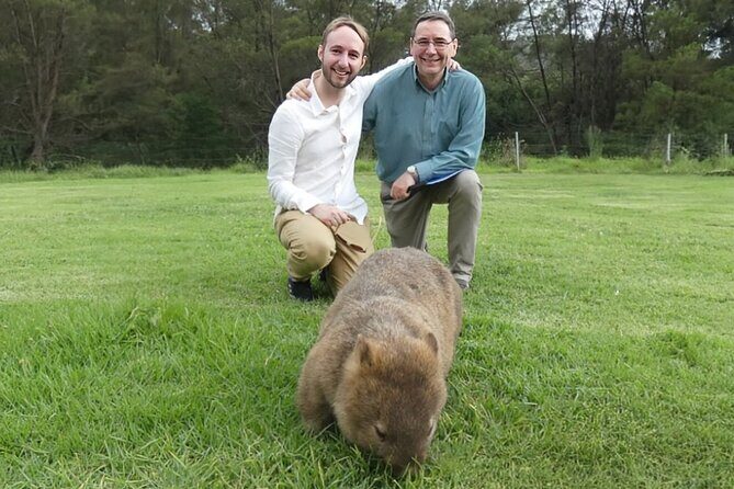 Private Wildlife Tour Wombats Kangaroos and Waterfalls - Key Points