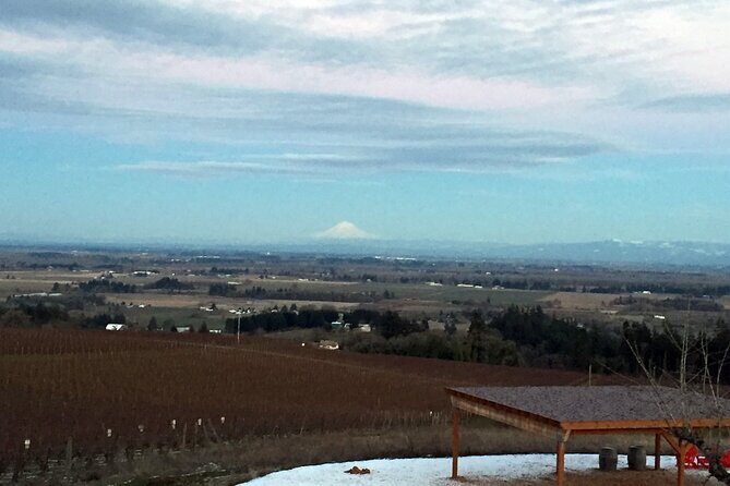 Private Willamette Valley Character Winery Tour - Who Will Appreciate This Tour?