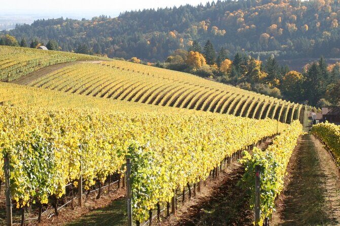 Private Willamette Valley Wine Tour from Portland (All tasting fees included) - FAQ