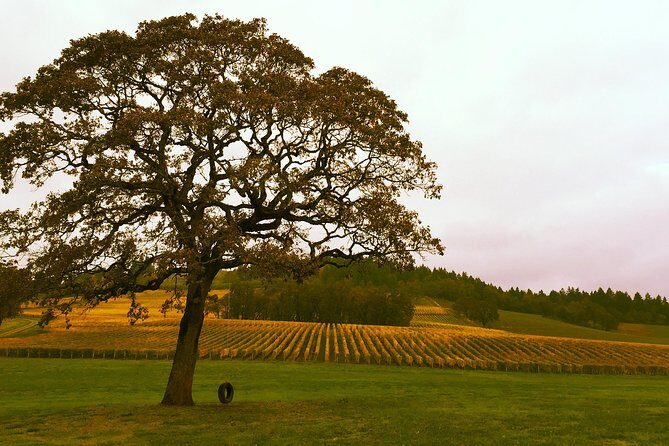Private - Willamette Valley Wine Tour From Portland (tasting fees included) - Final Thoughts