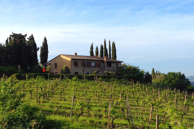 Private Wine and Extra Virgin Olive Oil Tasting - Testimonials From Travelers