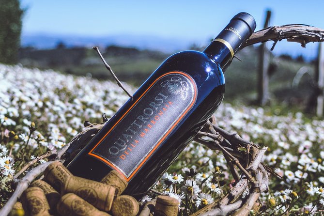 Private Wine and Extra Virgin Olive Oil Tasting - Since You Asked