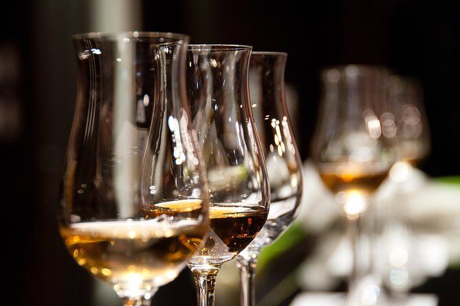 Private Wine & Charcuterie Tour (Customizable) - Final Thoughts
