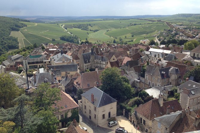 Private wine & cheese tour to Sancerre vineyards from Paris - The Itinerary: What to Expect on Your Day in Sancerre