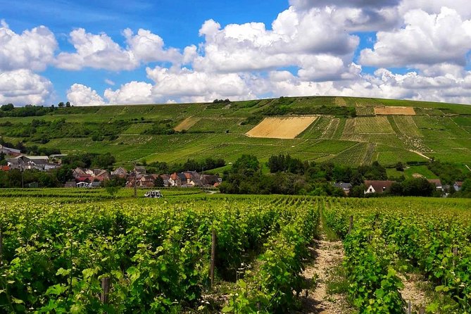 Private wine & cheese tour to Sancerre vineyards from Paris - Authentic Experiences and Travel Insights