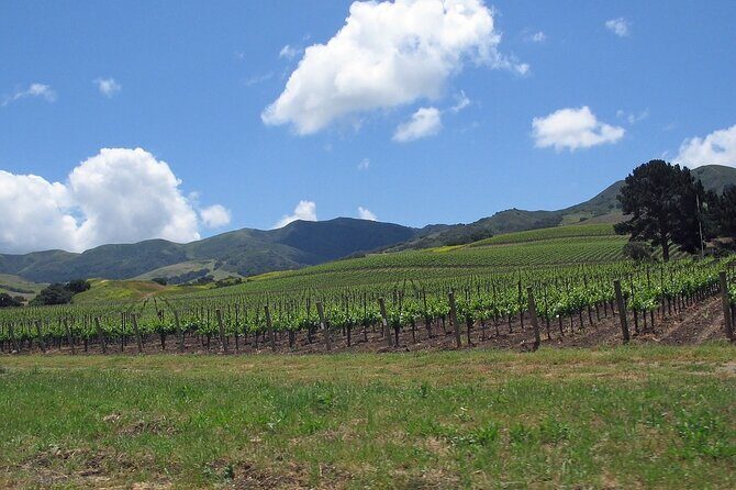 Private Wine Country Tour in Uncork Santa Barbara - Key Points