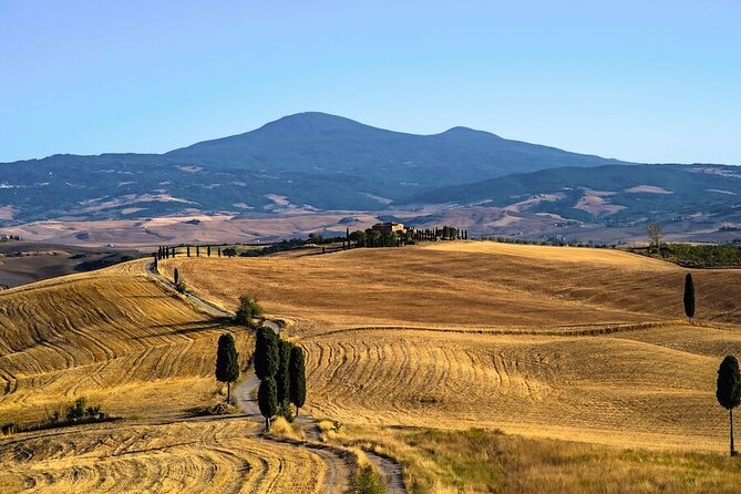 Private Wine & Culture Tour Hidden Tuscany: Pitigliano & Sovana - Final Thoughts: Is it Worth It?