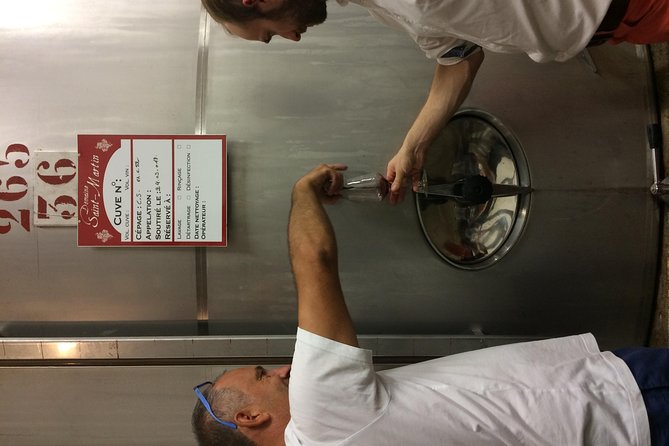 Private Wine day tour from Carcassonne and around. - What Travelers Are Saying