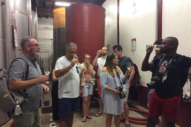 Private Wine day tour from Carcassonne and around. - Practical Information: What You Need to Know