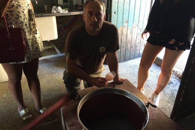 Private Wine day tour from Carcassonne and around. - FAQs