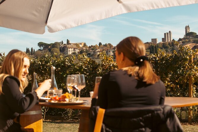 Private Wine & Evo oil tasting with Truffle Meal - Final Thoughts: Is This Tour for You?