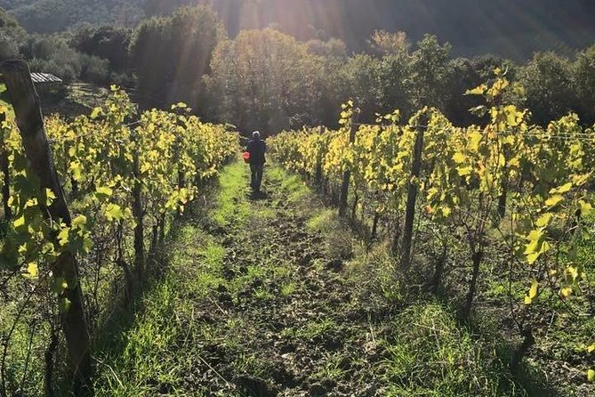 Private wine & EVO Oil Tasting with Tuscan Meal - FAQ