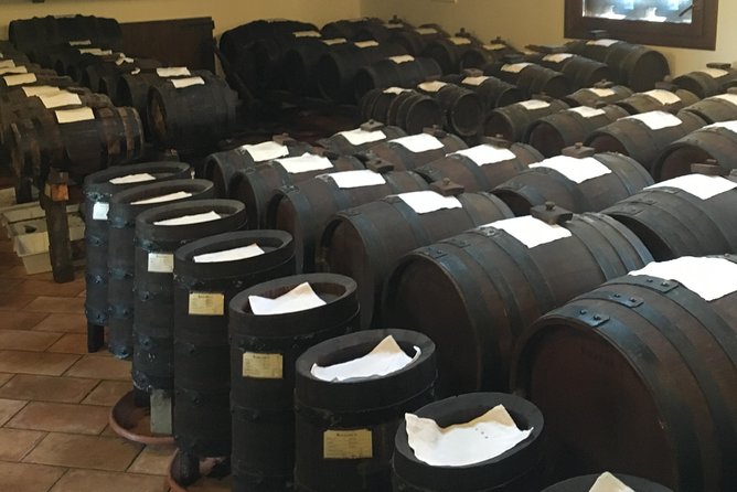 Private Wine, Evo Oils & Balsamic Vinegar Experience With Meal - Learning and Interaction