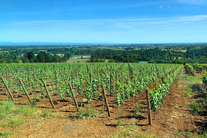 Private Wine Excursion Willamette Valley, Oregon - Wine Tour - FAQ