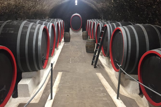 Private Wine, Food & Heritage Tour From Prague to Bohemia - Participant Information