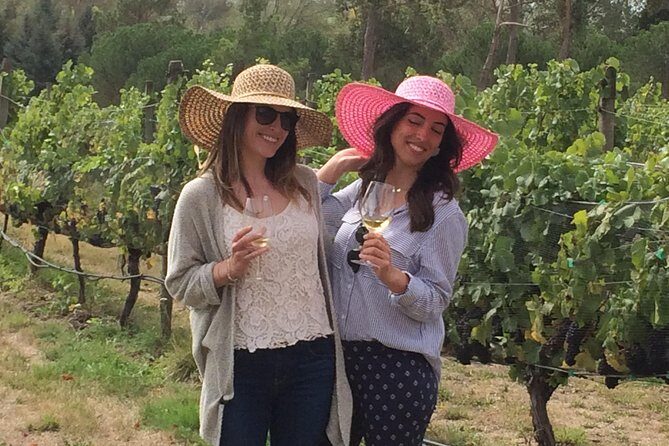 Private Wine Gourmet and Scenic Delights Tour from Picton - Practical Details and Tips