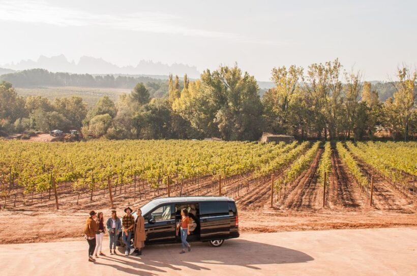 Private Wine, Tapas & Cava Experience from Barcelona - Key Points