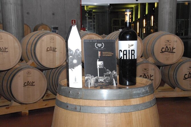 Private Wine Tasting And Visit Tour in Ribera Duero - Authentic Traveler Insights