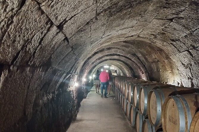 Private Wine Tasting And Visit Tour in Ribera Duero - Who Should Consider This Tour?